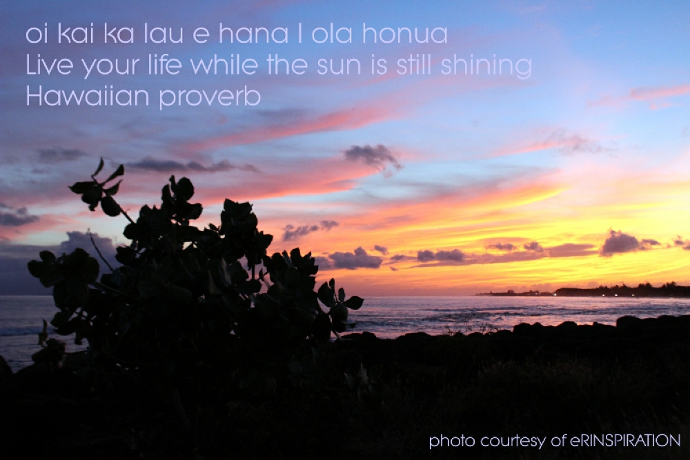 Hawaiian Time Surfing Apparel. Island Inspired and Made in the USA